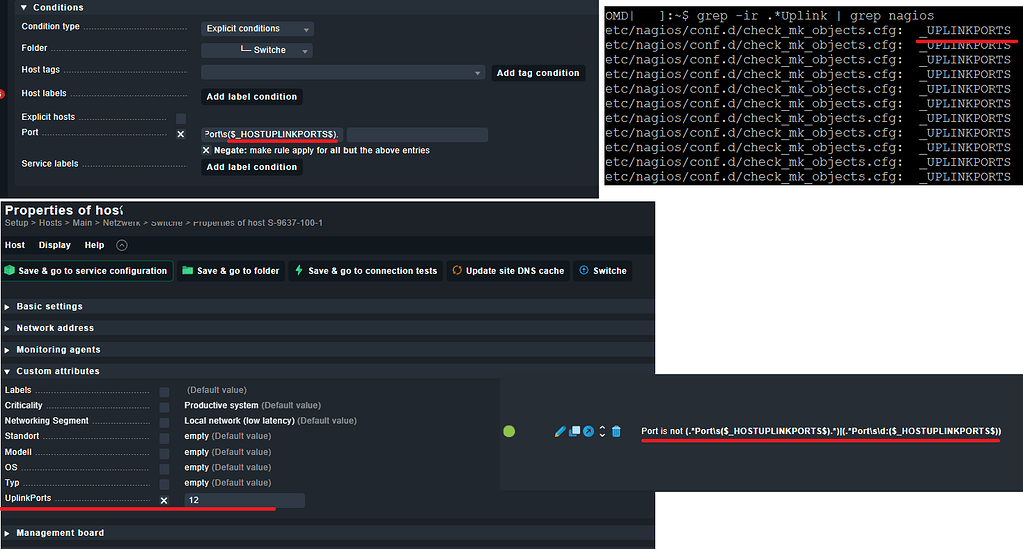 Using (Tag)Varables in Rules - Deutsch - Checkmk Community