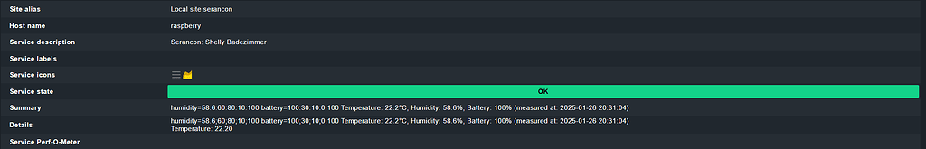 Multiple graphs within one service - General - Checkmk Community