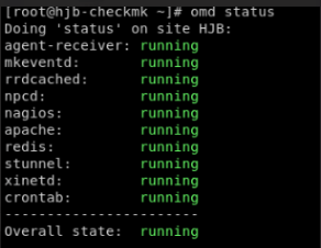 How to setup auto start the checkmk site process - Troubleshooting - Checkmk Community