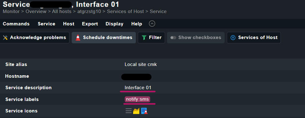 Label-Based notification rules ignored for active checks (http-checks) - Troubleshooting ...