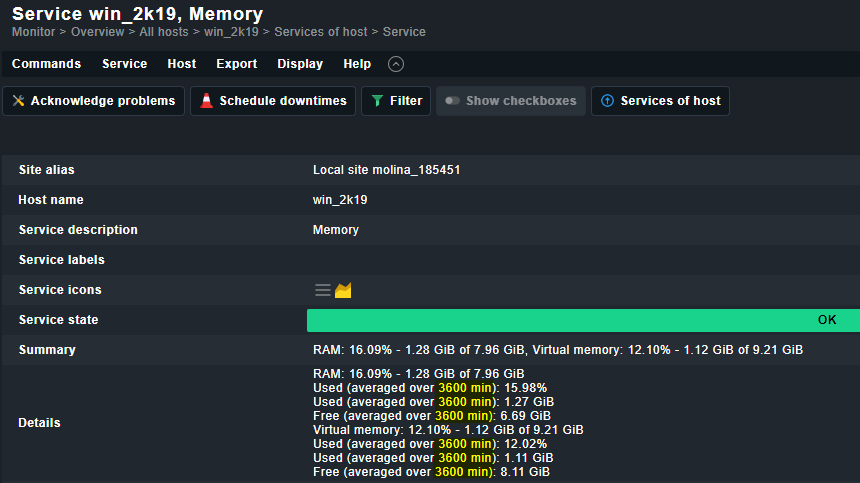 Windows memory averaging rule does not match the service output of a service affected by the ...